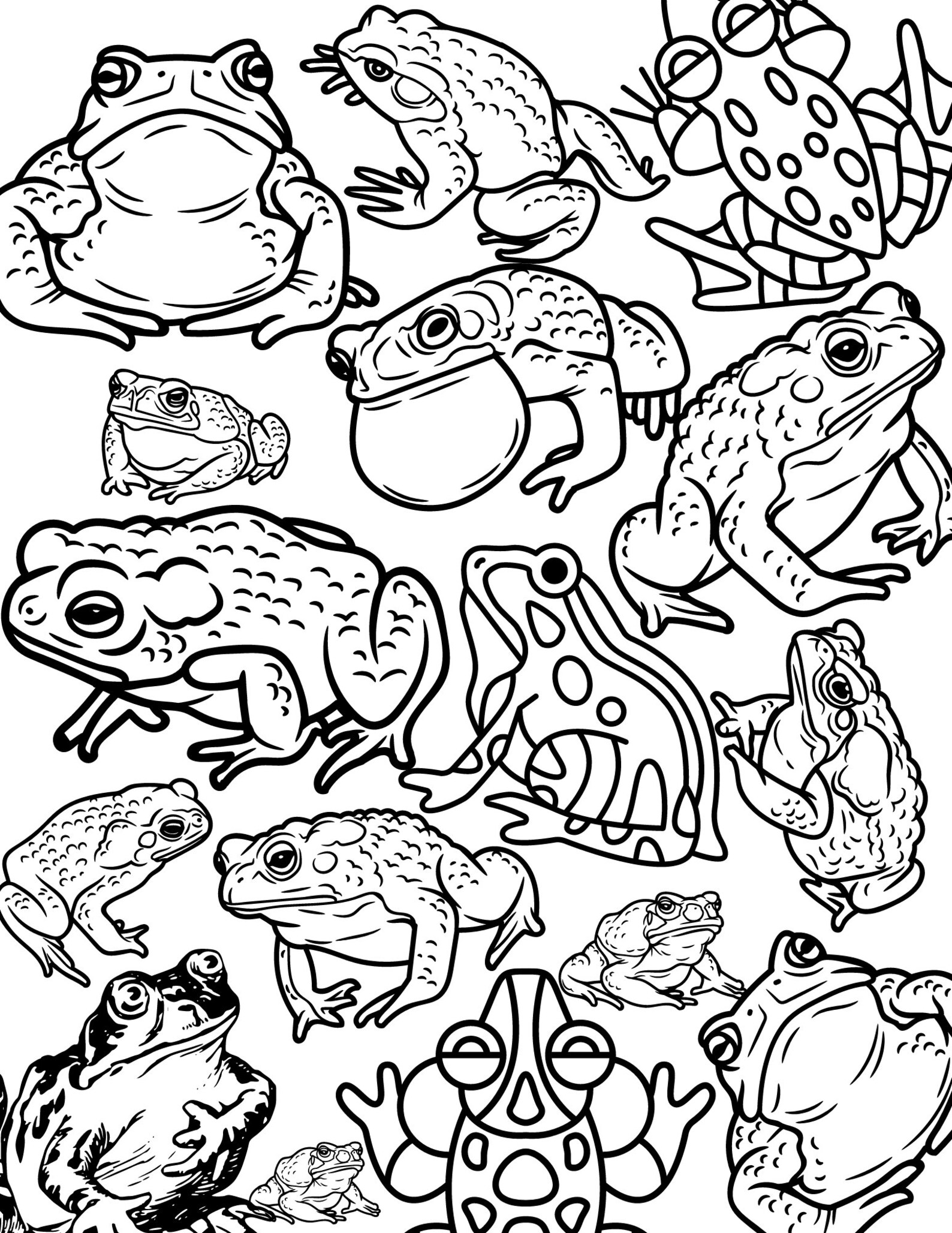 Toad Color and Count Printable Worksheet, Instant Download, Math and ...