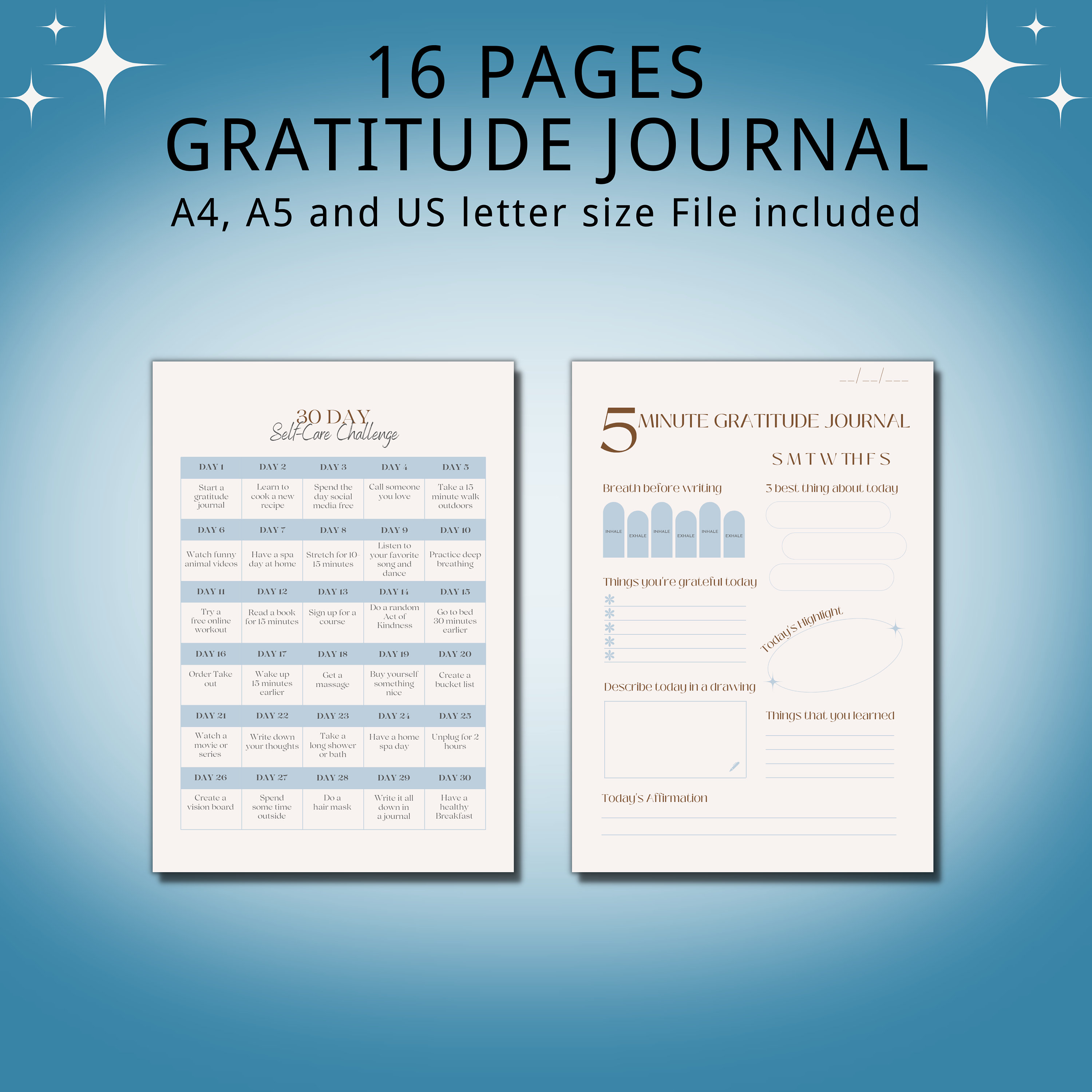 Printable Gratitude Journal and Daily Journal BUNDLE Gratitude Diary ...