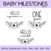 Baby Milestone Rounds Svg | Baby Announcement Svg | Hello World Svg ...