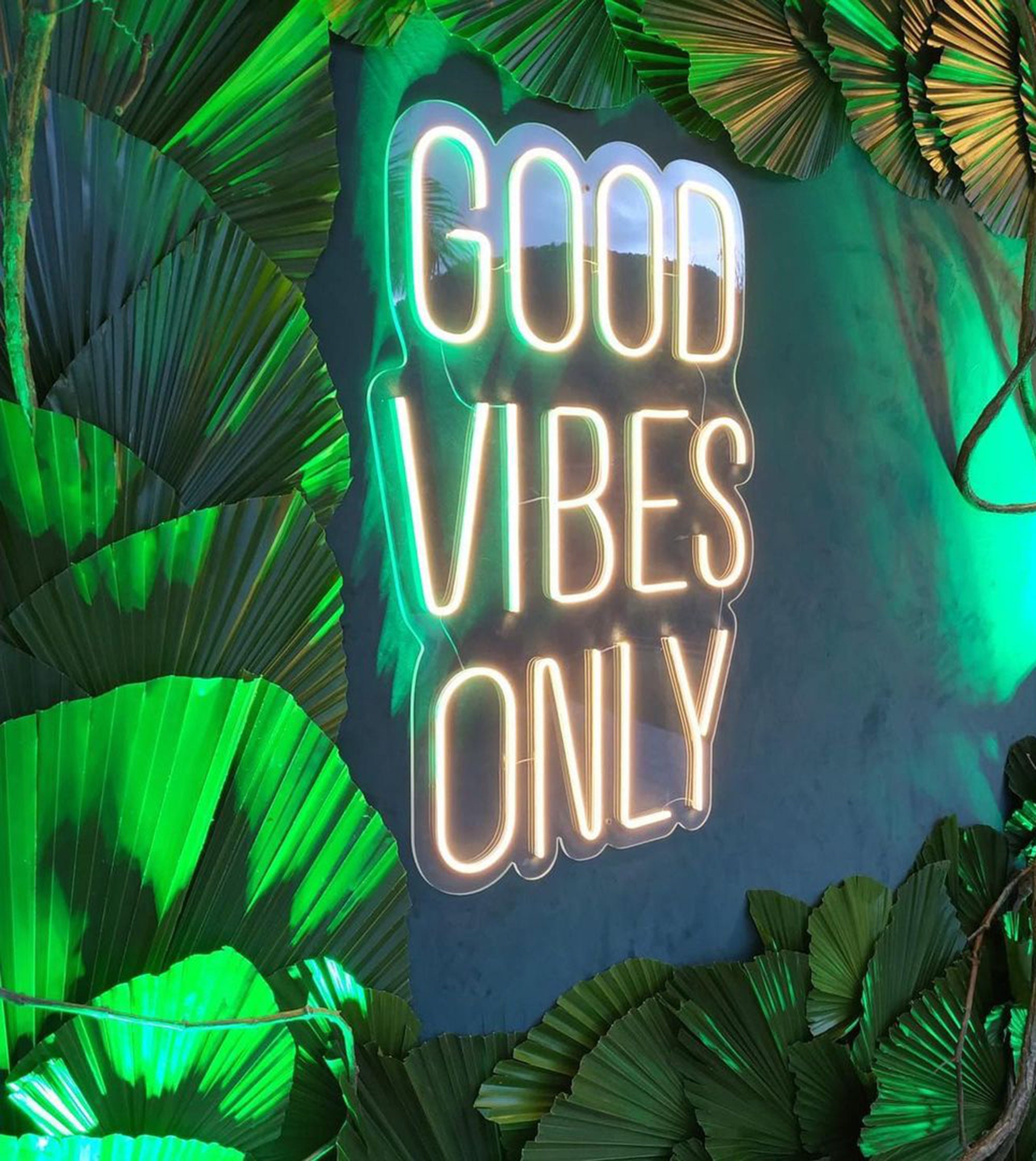 Custom Neon Sign | Aesthetic Custom Neon Sign | Neon Sign | LED Neon ...