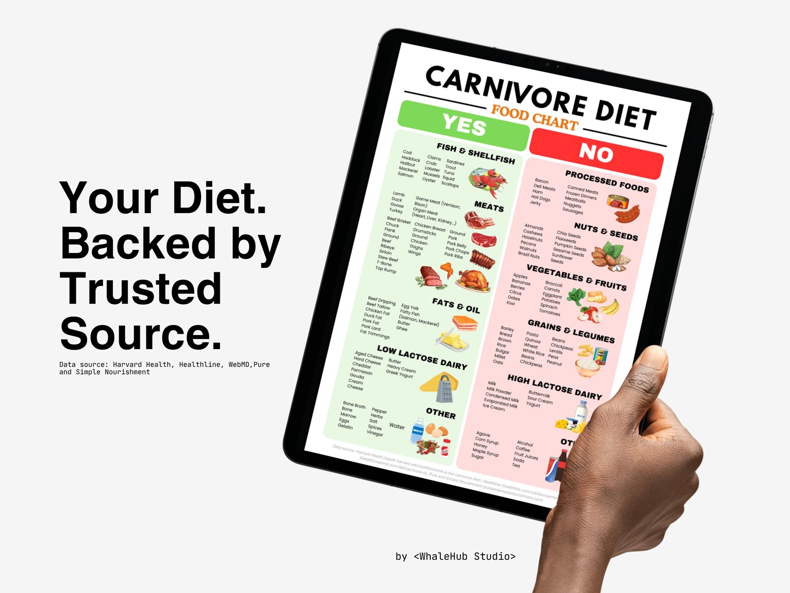 Carnivore Diet Food Chart: High Protein Grocery List (printable PDF) - Etsy