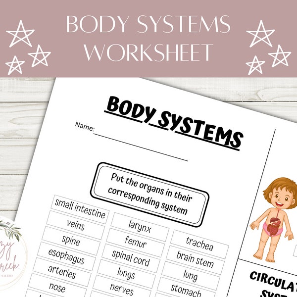 Human Body Systems Worksheets for Kids - Etsy