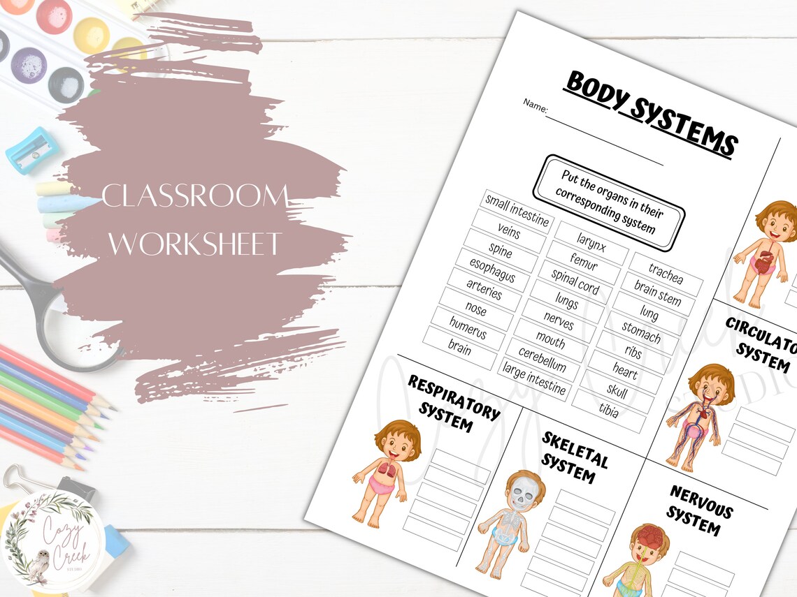 Printable Body Systems Worksheet | Human Body Systems | Elementary ...