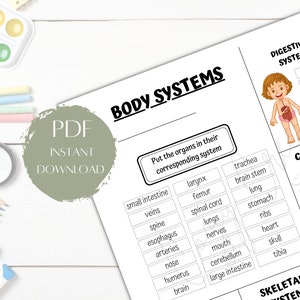 Printable Body Systems Worksheet | Human Body Systems | Elementary ...