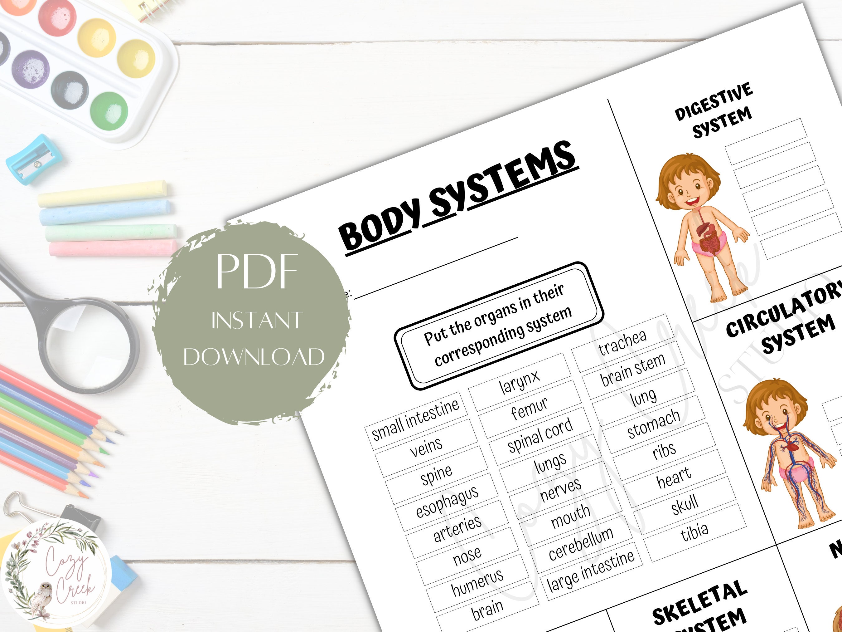 Printable Body Systems Worksheet | Human Body Systems | Elementary ...