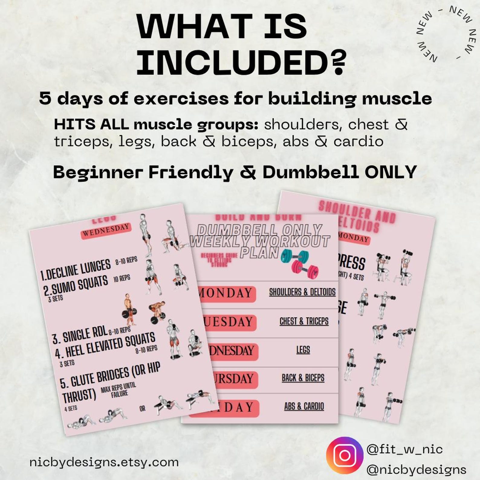 Dumbbell Workout Plan for Women: 5-day Muscle Building Program (PDF ...