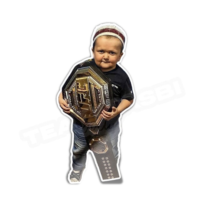 3x UFC Hasbulla Sticker - Etsy