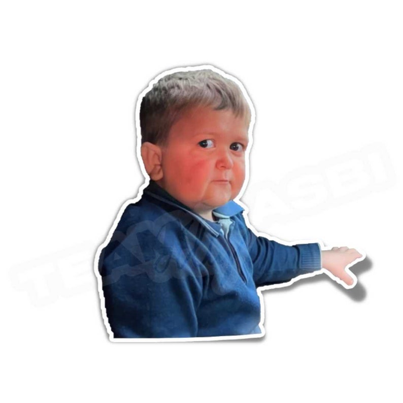 3x Eye Contact Hasbulla Sticker - Etsy