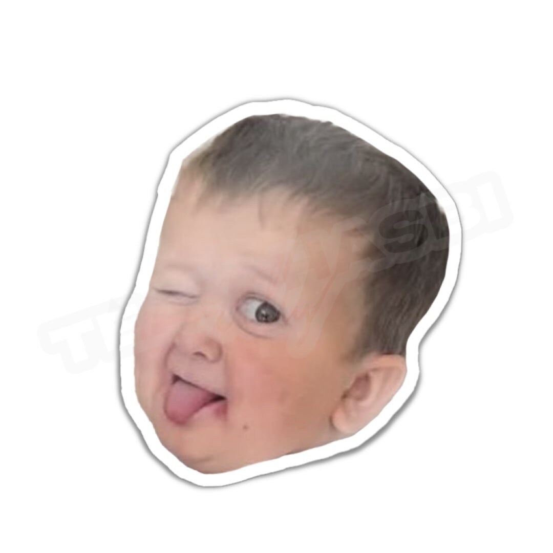 3x Wink Hasbulla Sticker - Etsy