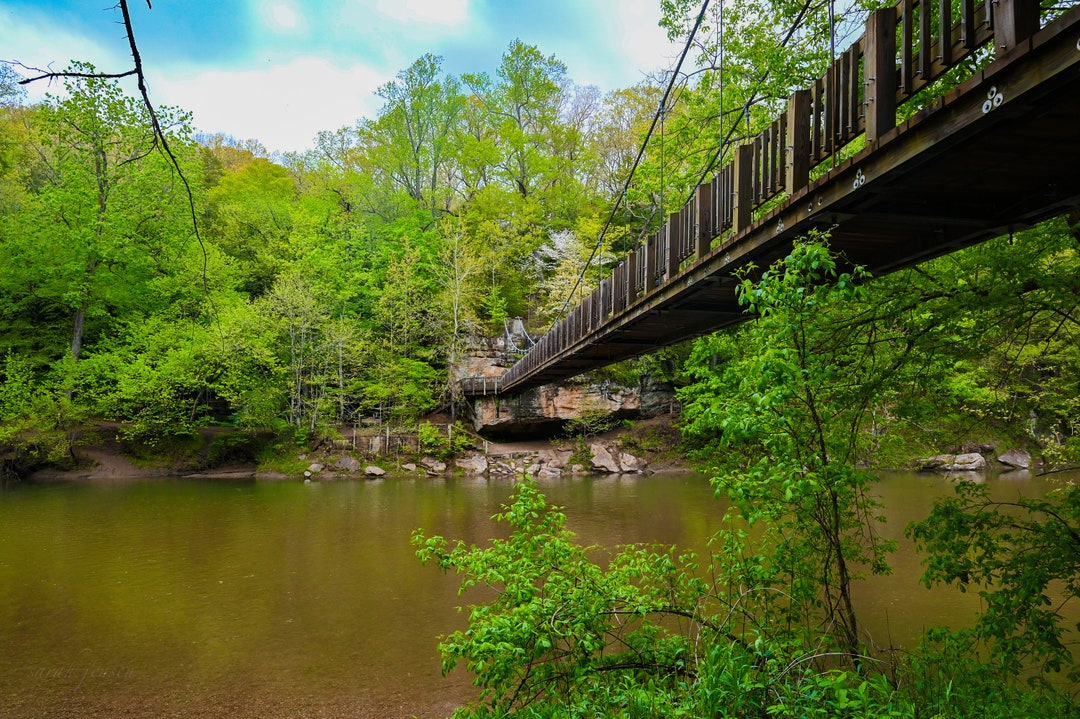 Turkey Run Suspension Bridge Photo Print Poster - Etsy