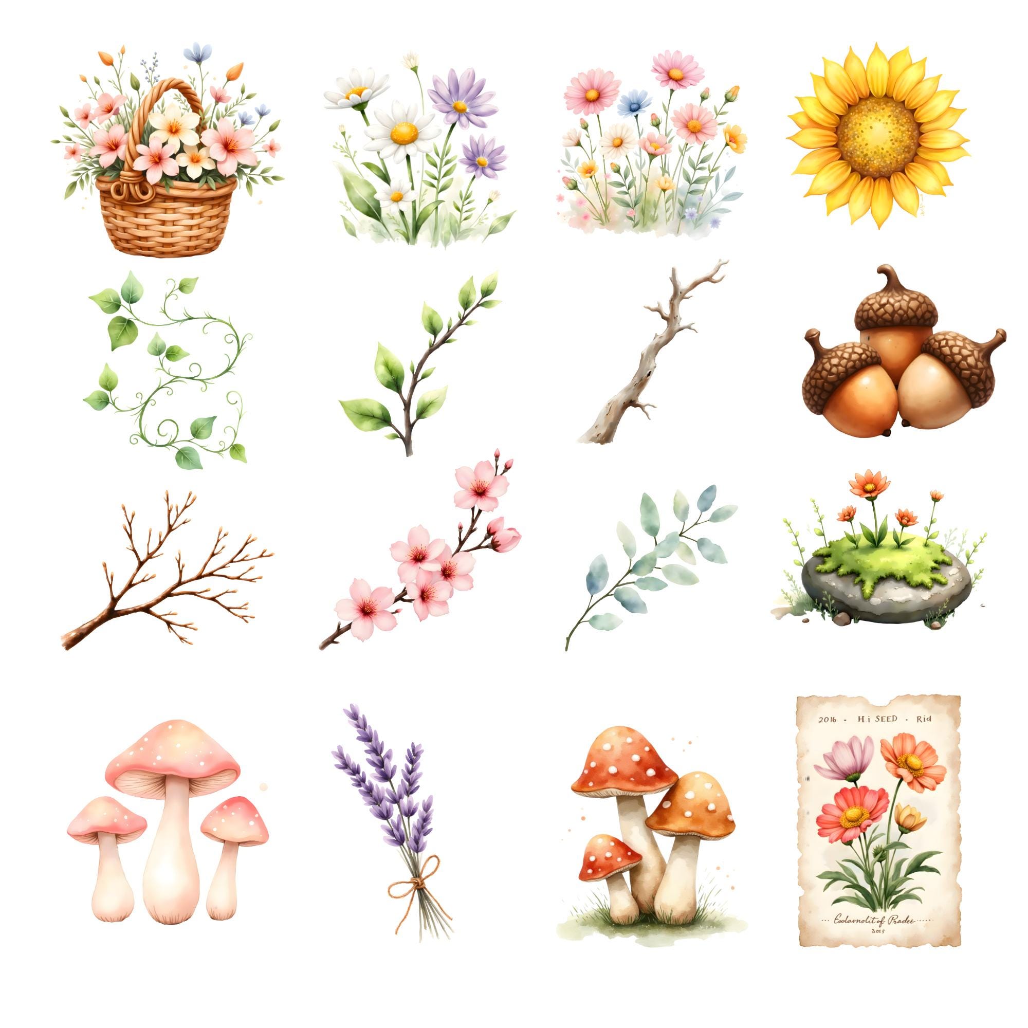 Birdhouse Garden Clipart Collection PNG - 65 Watercolor Garden Elements ...