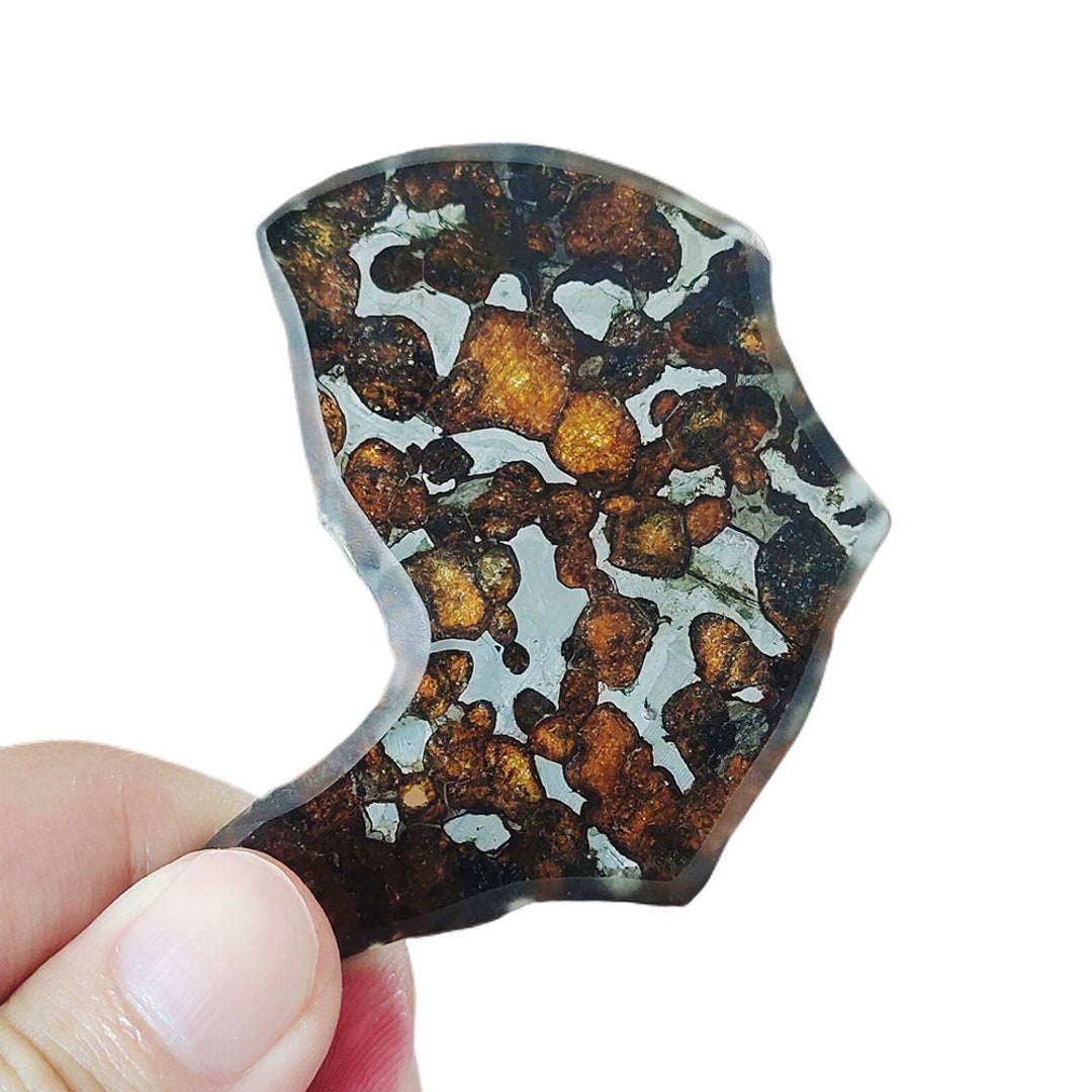 19g Sericho Pallasite Meteorite Slice Natural Meteorite - Etsy