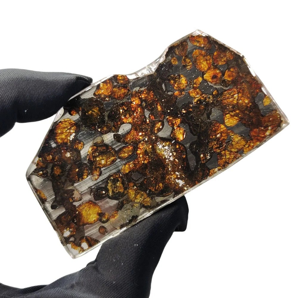 26.1g SERICHO PALLASITE Meteorite Material Slice Collection of Natural ...