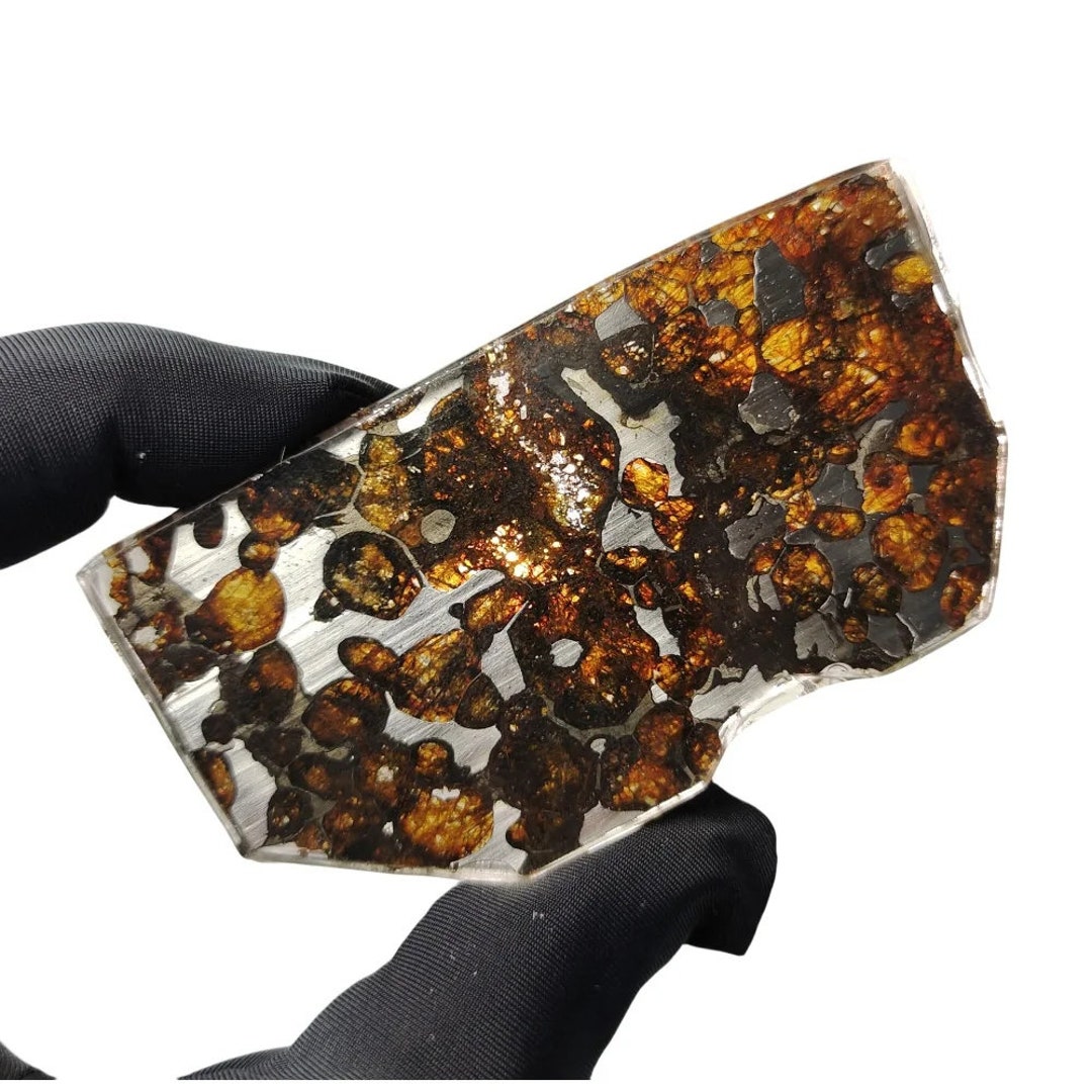 26.1g SERICHO PALLASITE Meteorite Material Slice Collection of Natural ...