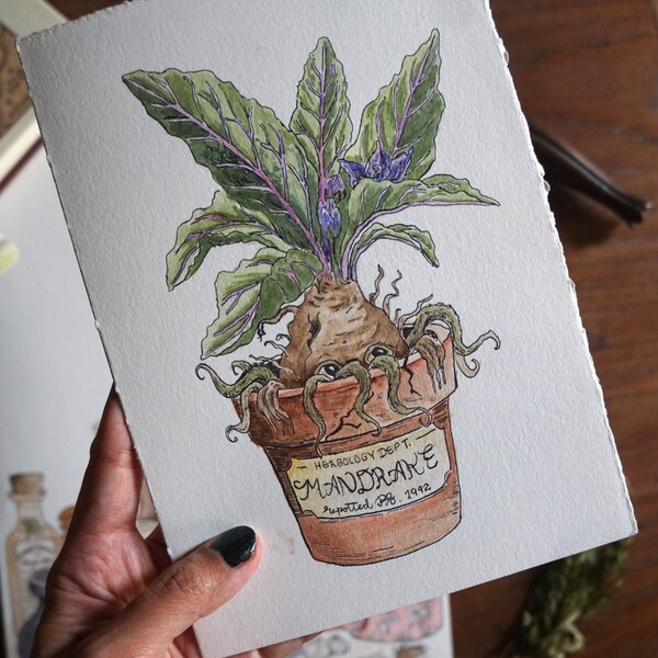 Dirigible Plum - Etsy