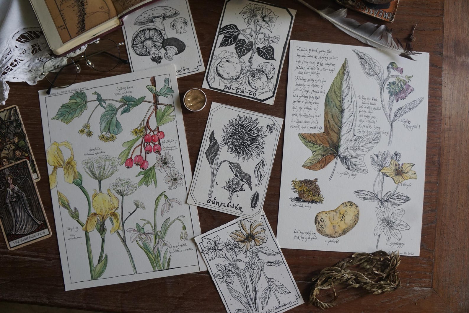 Botany of Middle Earth - Arda Botanical Medicinal Herbs Tolkien Art ...