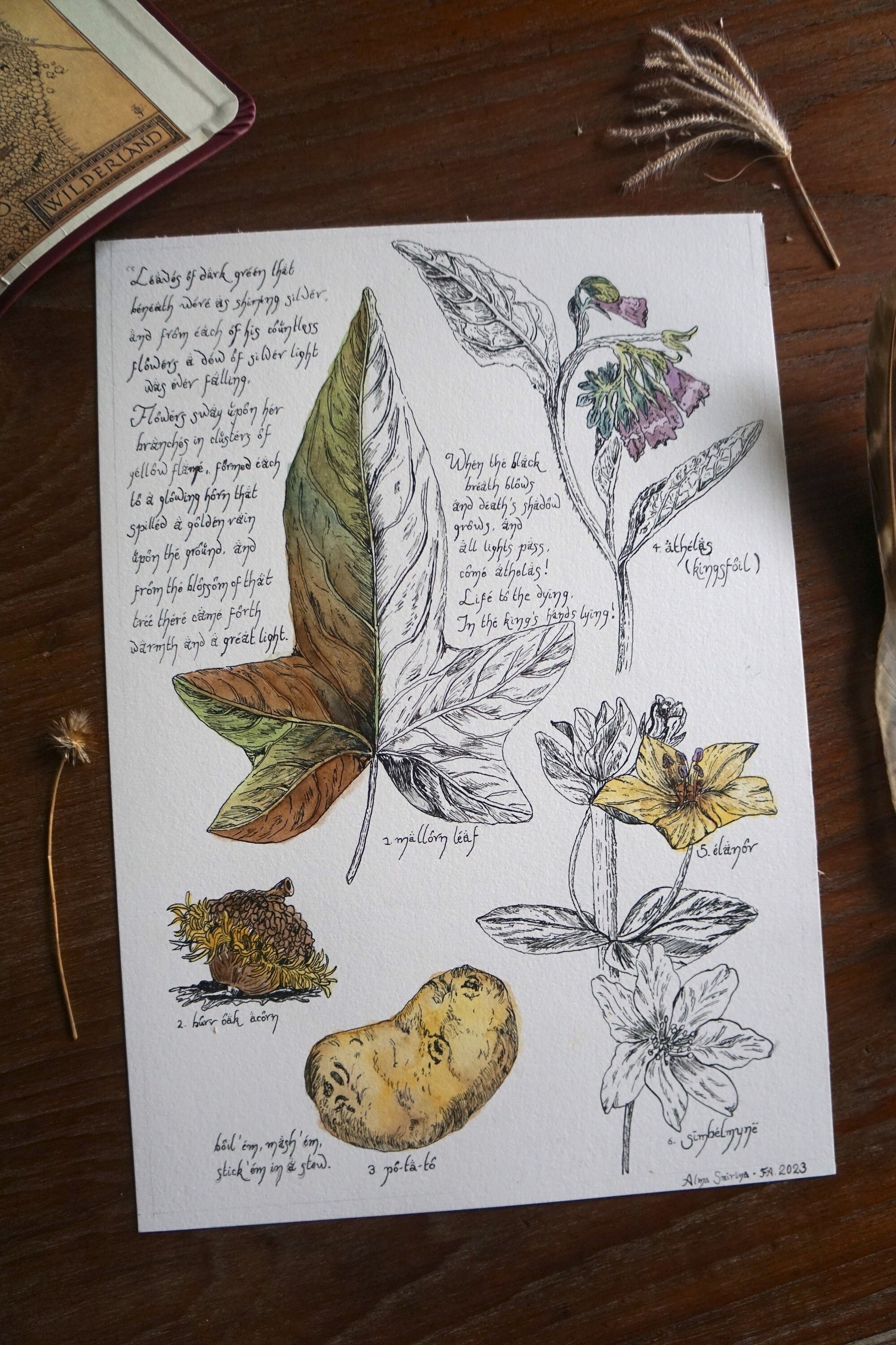 Botany of Middle Earth - Arda Botanical Medicinal Herbs Tolkien Art ...