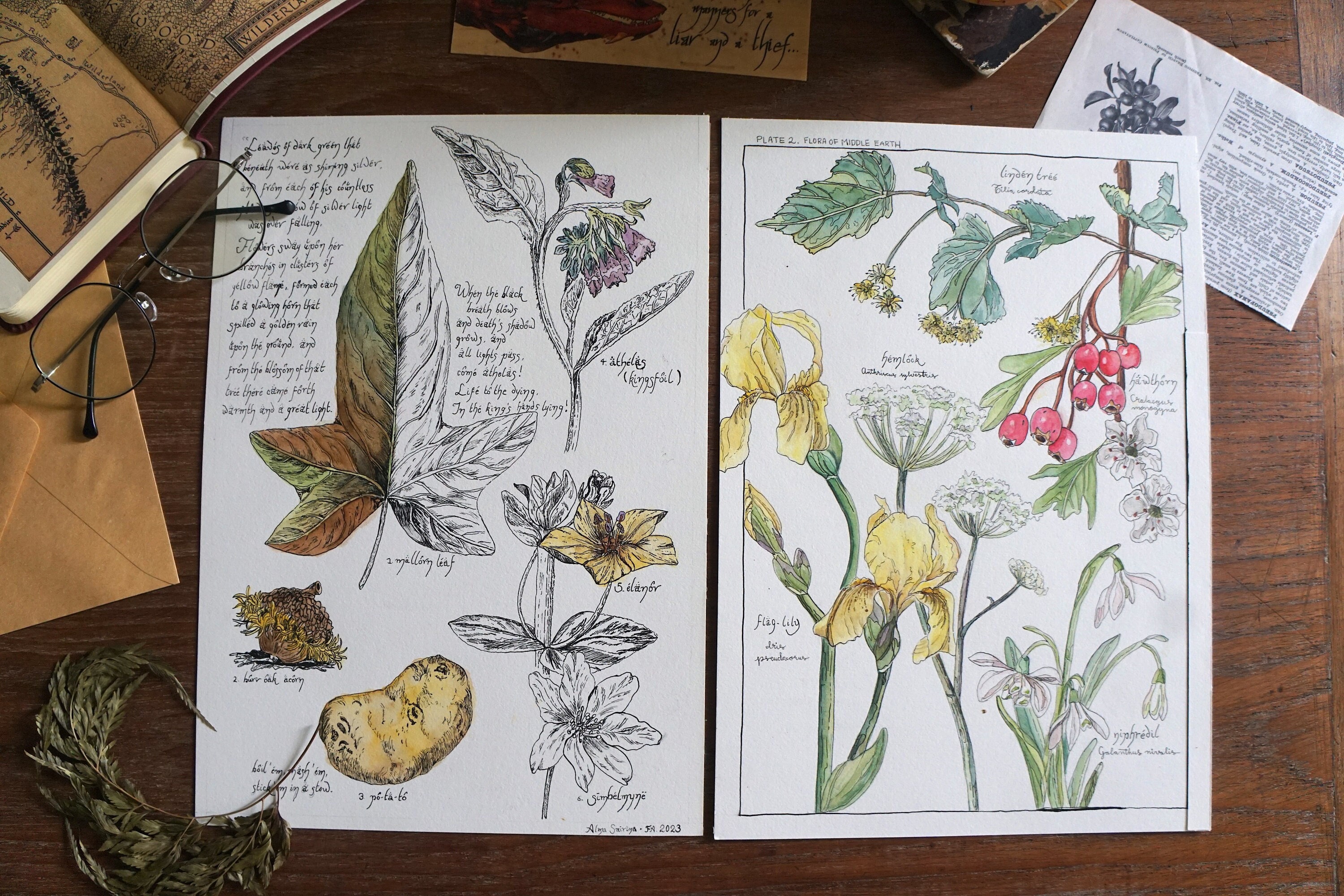 Botany of Middle Earth Arda Botanical Medicinal Herbs Tolkien Art Print ...