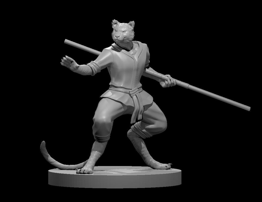 Monk Miniature Tabaxi 3D Printed Tabletop Figure for Dungeons & Dragons ...