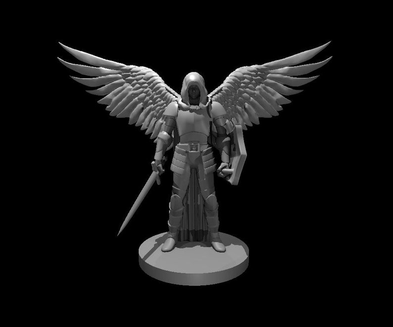 Fallen Aasimar Paladin Sword and Shield MZ4250 3D Printed L Tabletop ...