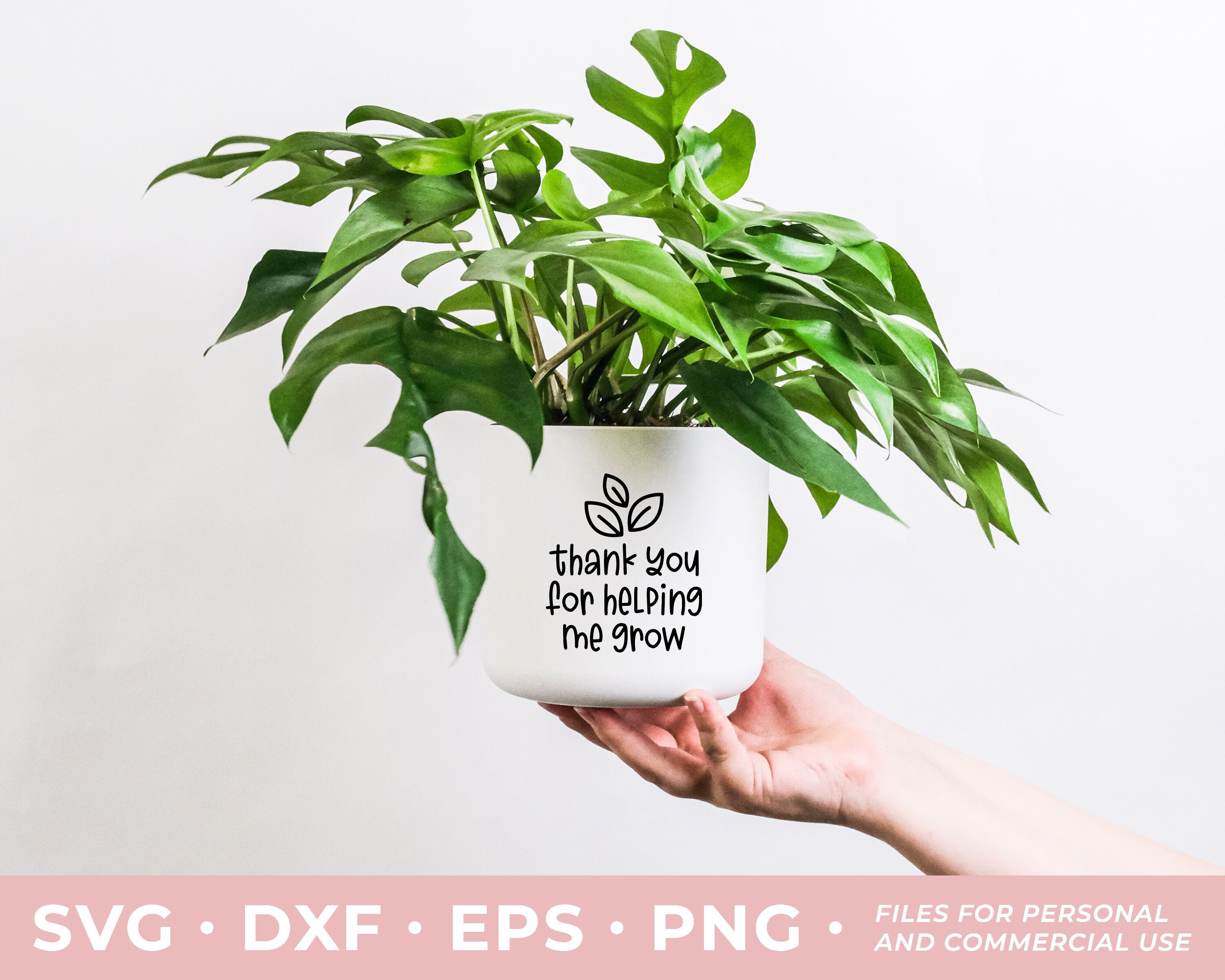 Thank You for Helping Me Grow Bundle SVG Vinyl Cutting Files - Etsy ...