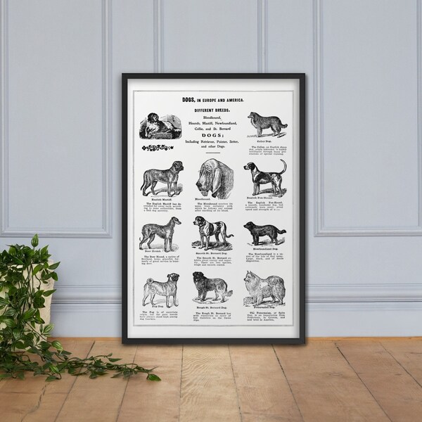 Dog Breeds Poster - Etsy