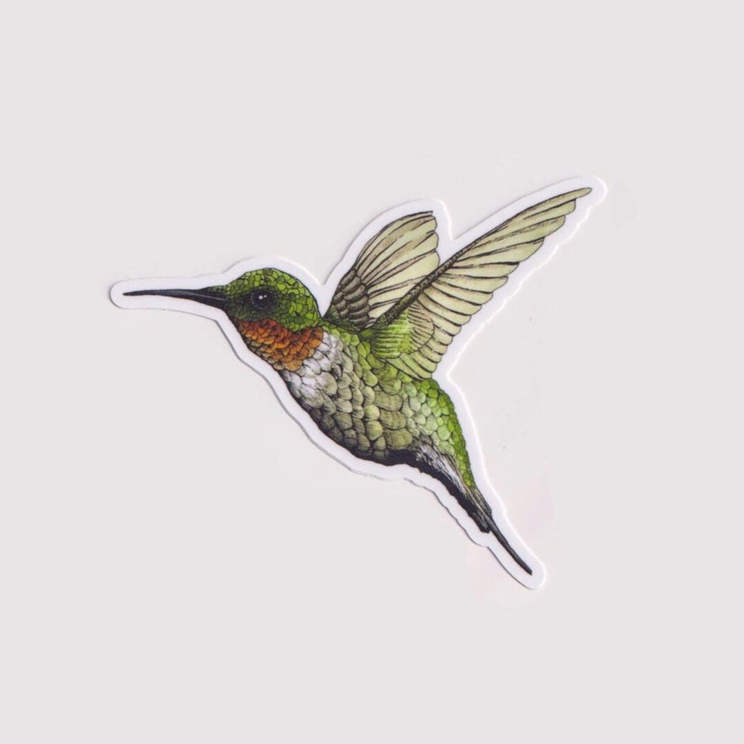 Hand-drawn Hummingbird Vinyl Sticker, Waterproof Decal - Etsy