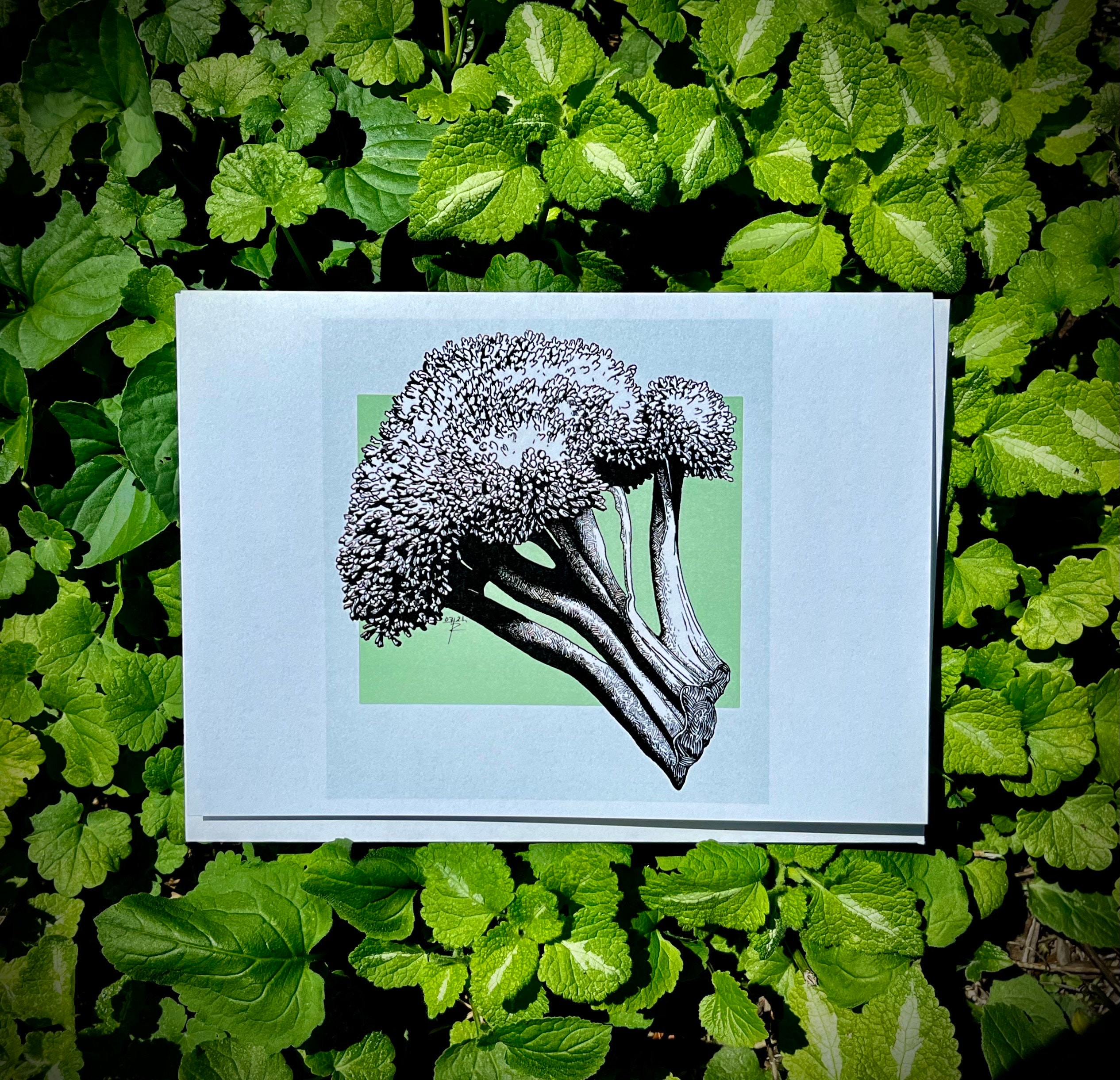 Hand Drawn Pen and Ink Vegetable Greeting Cards (3 Pack Contains ...