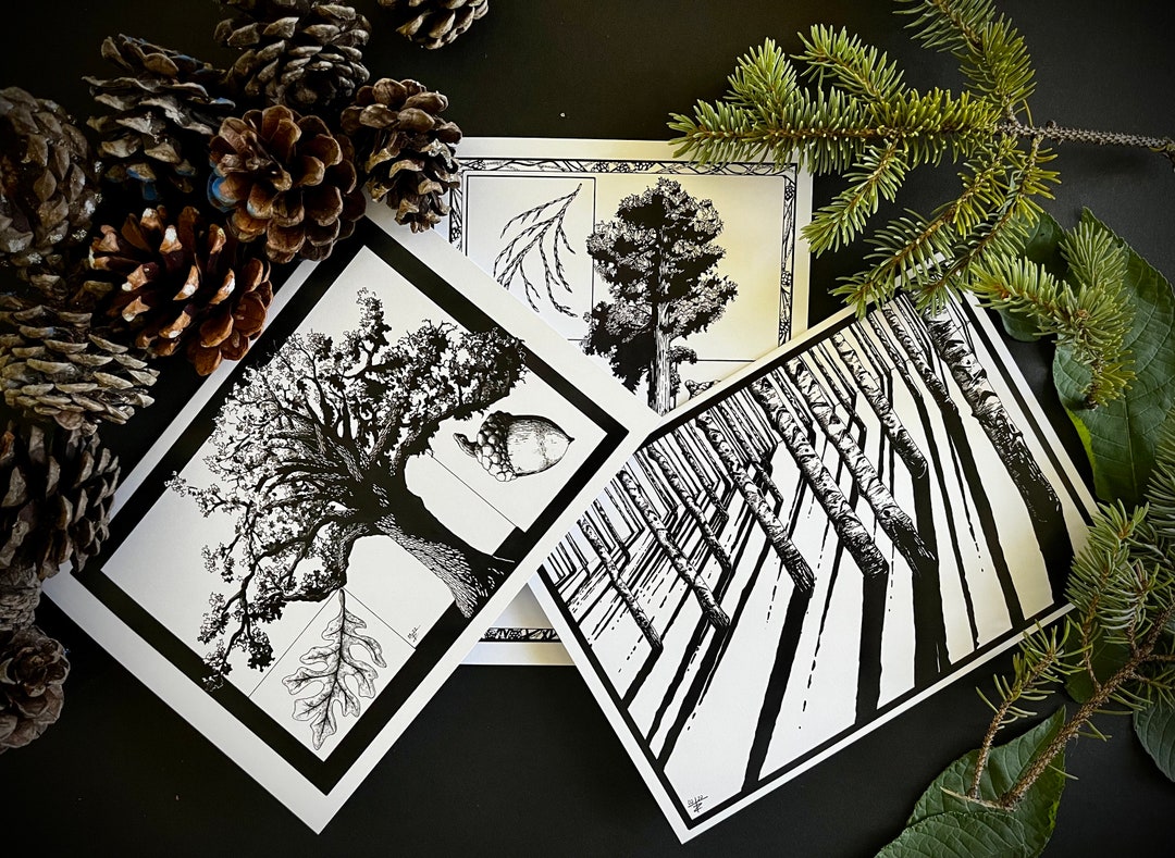 Select Any Three Hand Drawn Greeting Cards on My Site. Pen and Ink Nature Illustrations. Blank ...
