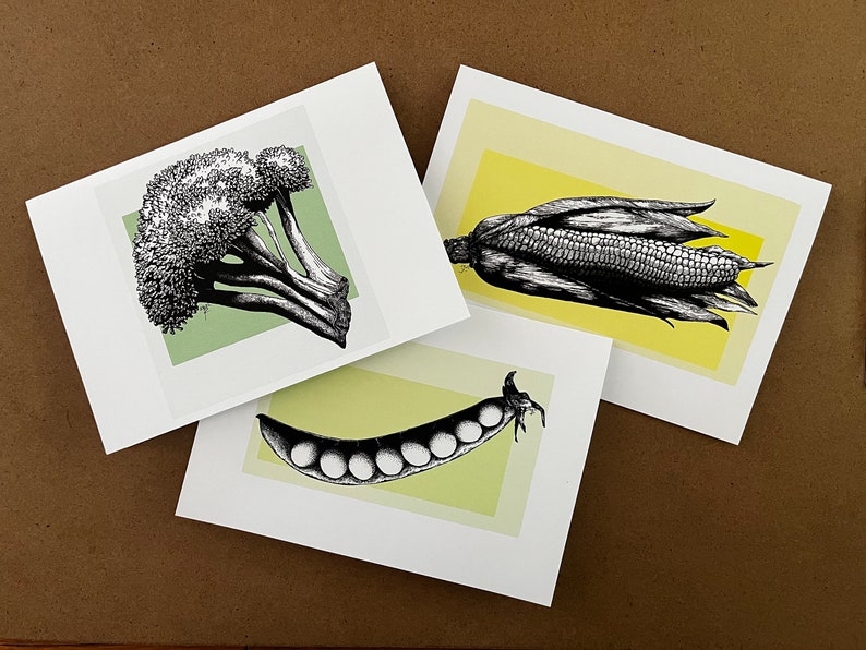 Hand Drawn Pen and Ink Vegetable Greeting Cards 3 Pack Contains Bocolli ...