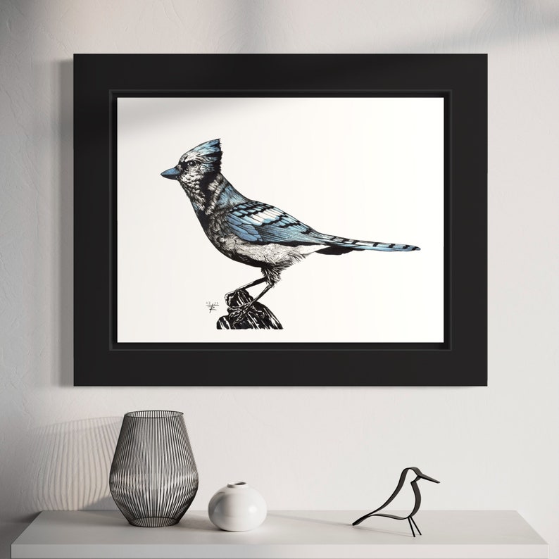 Blue Jay. Hand Drawn Pen and Ink Art. - Etsy