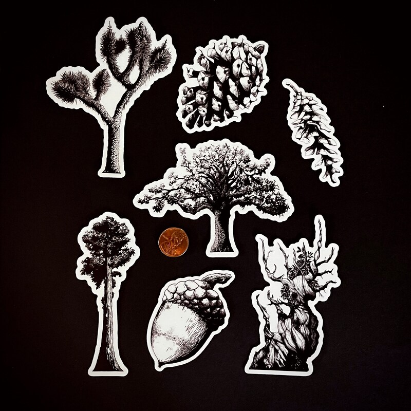 Oak Sticker - Etsy