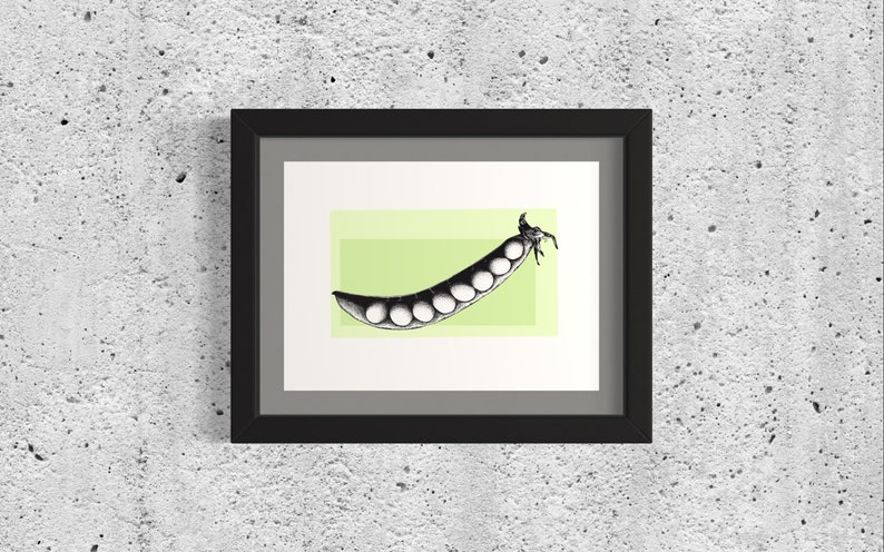Pen and Ink Peapod Illustration - Etsy