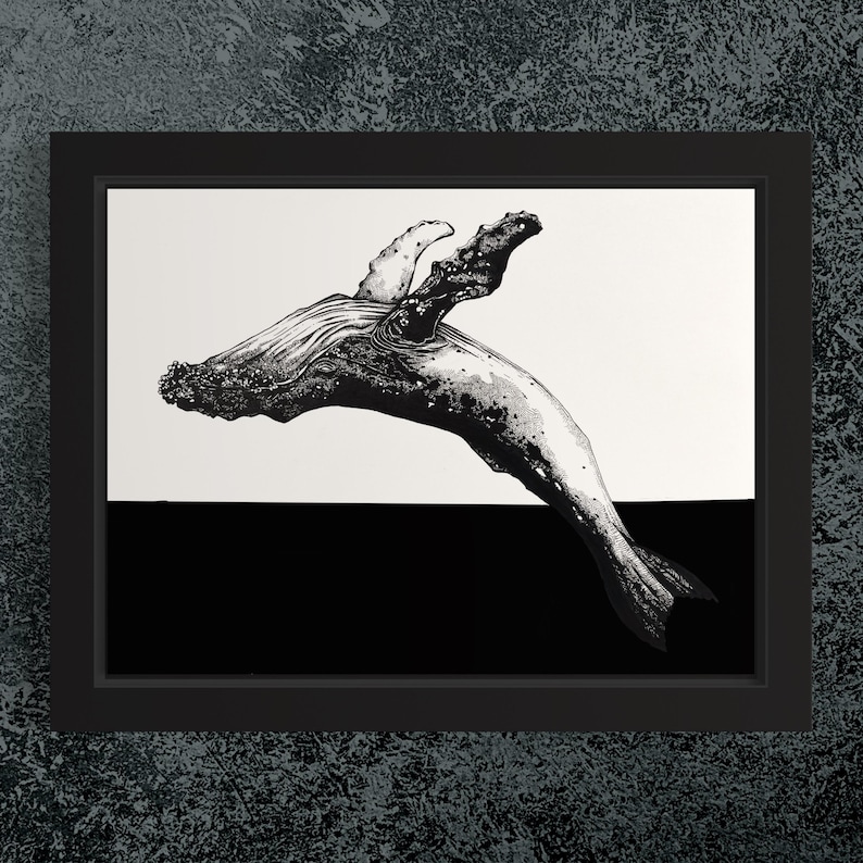 Breach. Humpback Whale Drawing. Hand Drawn Pen and Ink Illustration. - Etsy