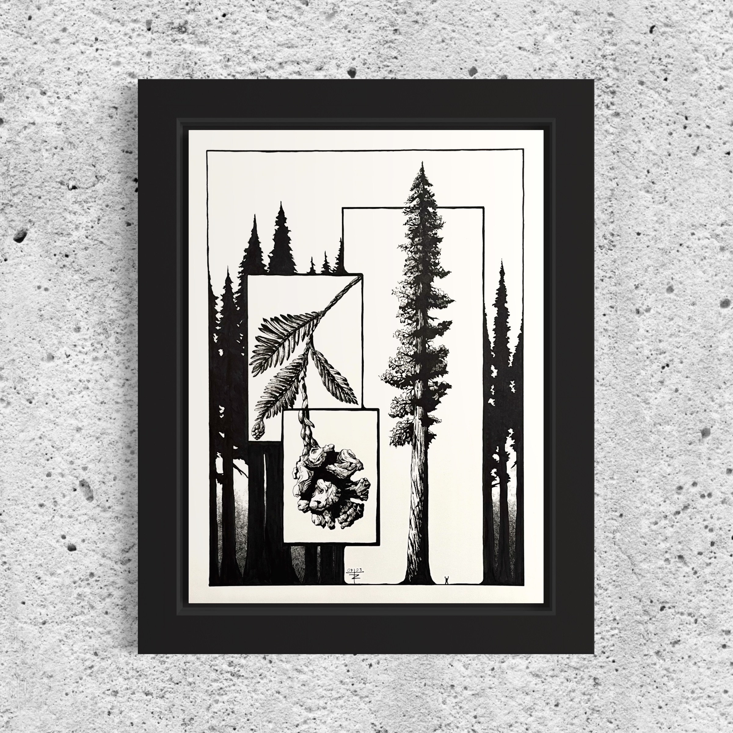 Coast Redwood Tree. Hand Drawn Pen and Ink Fine Art Print. - Etsy