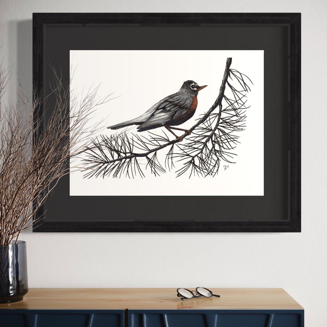 Hand Drawn American Robin Pen and Ink Illustration, Nature Art ...
