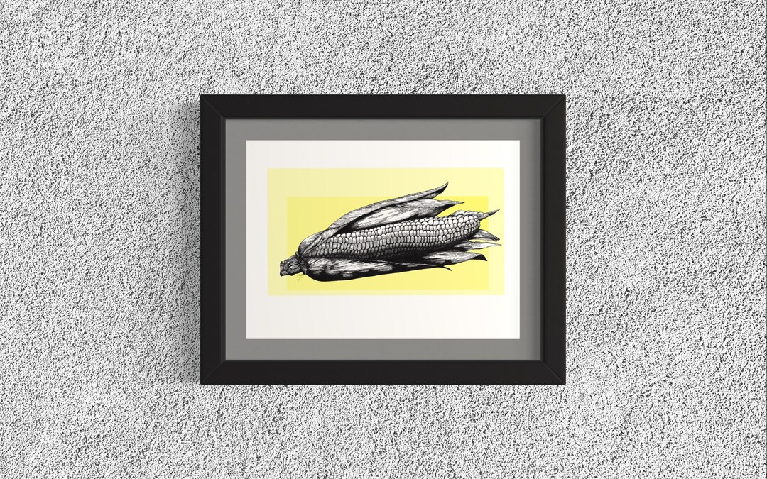 Corn. Hand Drawn Pen and Ink Botanical Illustration. - Etsy