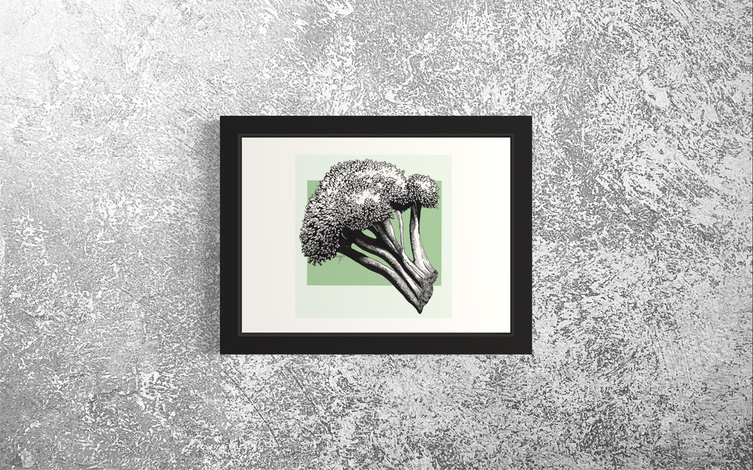 Broccoli. Hand Drawn Pen and Ink Botanical Illustration. - Etsy