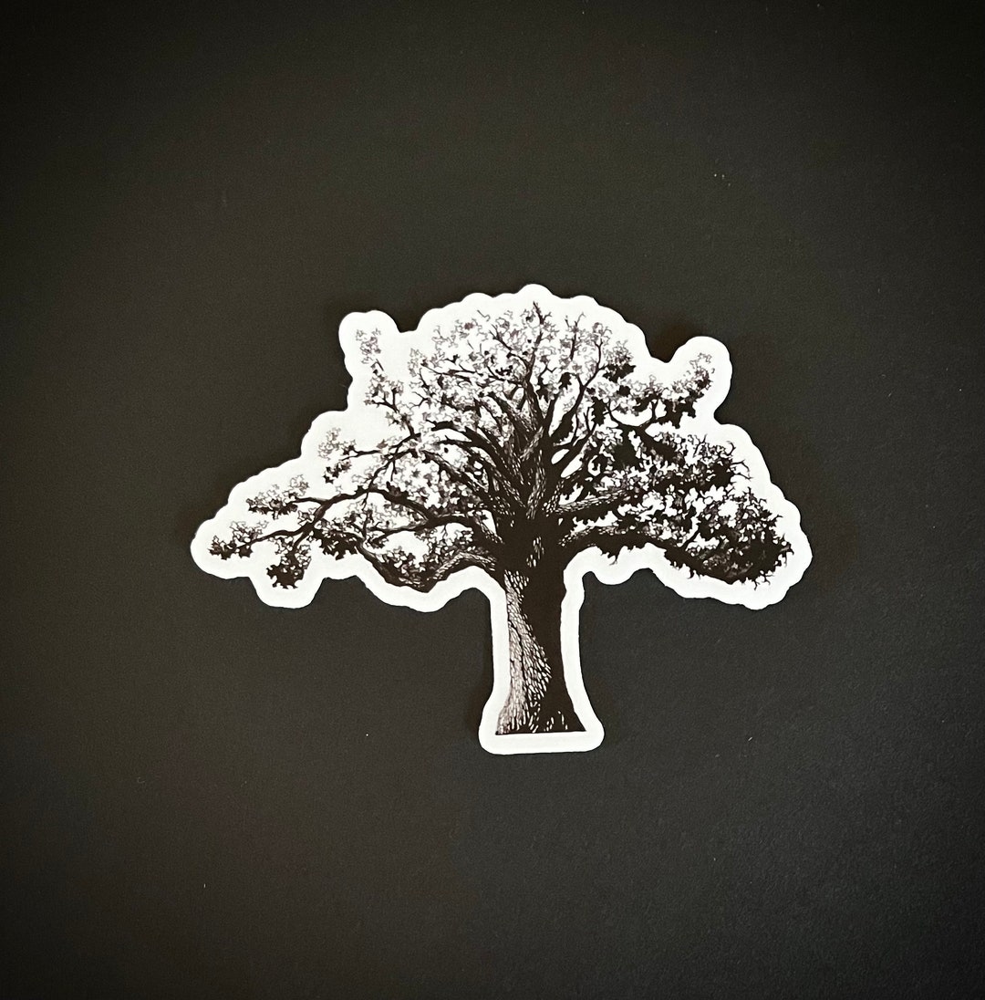 Hand Drawn White Oak Tree Vinyl Sticker. Waterproof - Etsy