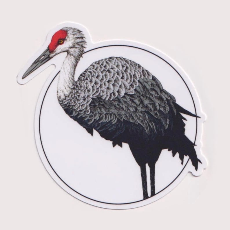 Hand Drawn Sandhill Crane Vinyl Sticker, Waterproof Decal - Etsy