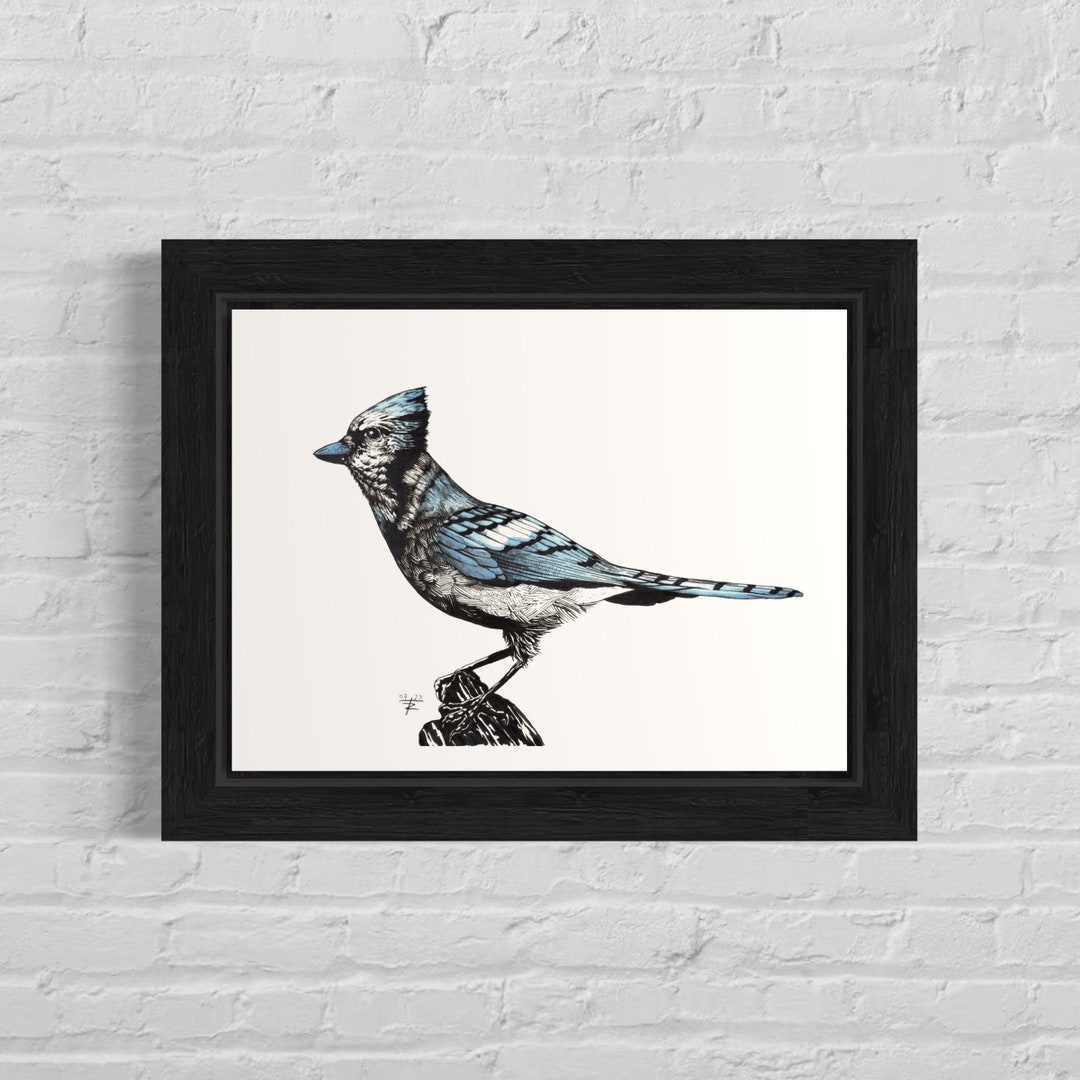Blue Jay. Hand Drawn Pen and Ink Art. - Etsy