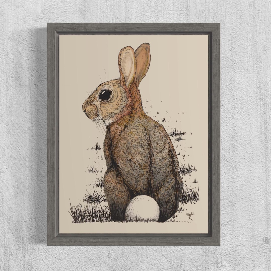 Eastern Cottontail Rabbit. Hand Drawn Pen and Ink Illustration. - Etsy