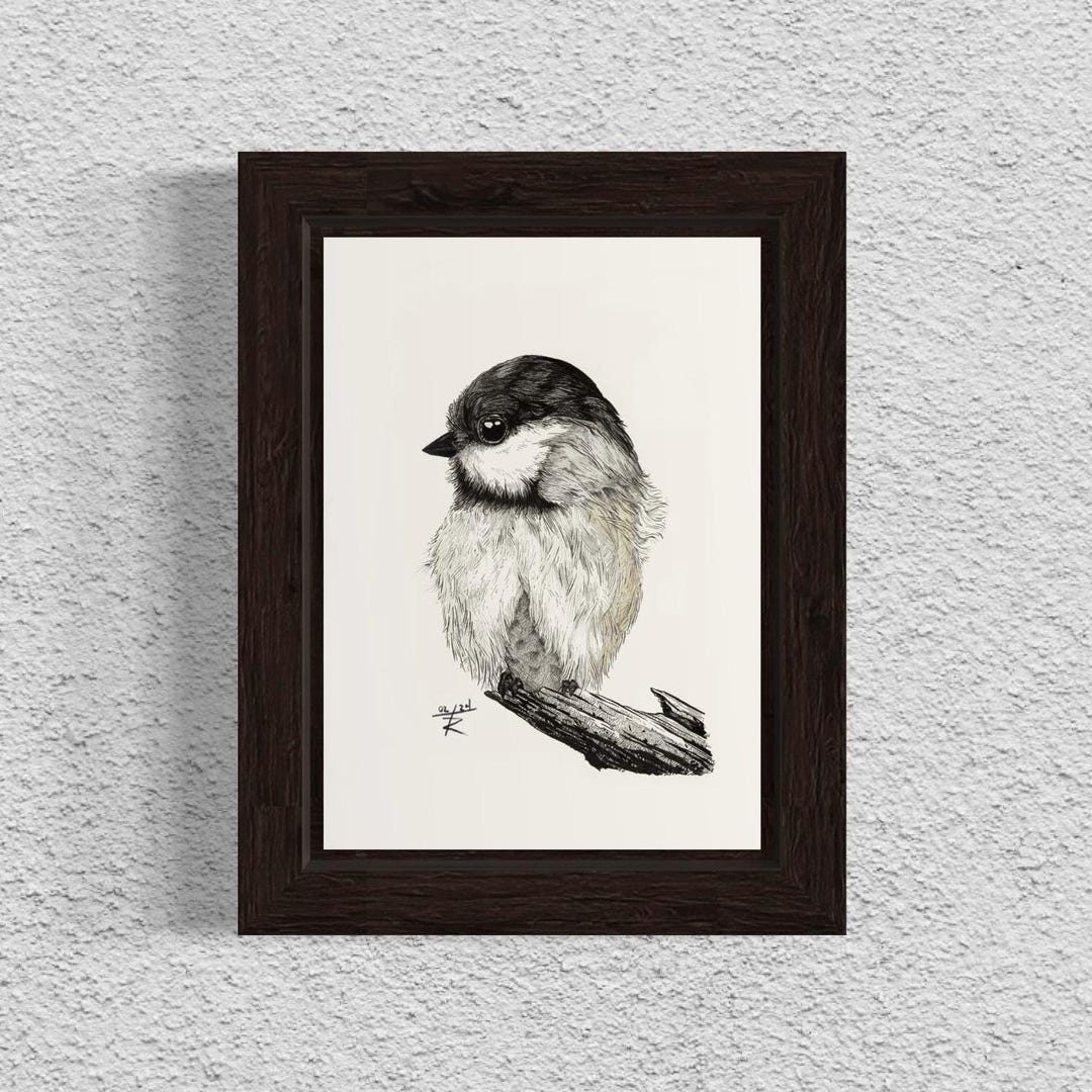 Blackcapped Chikadee. Hand Drawn Pen and Ink Illustration. - Etsy