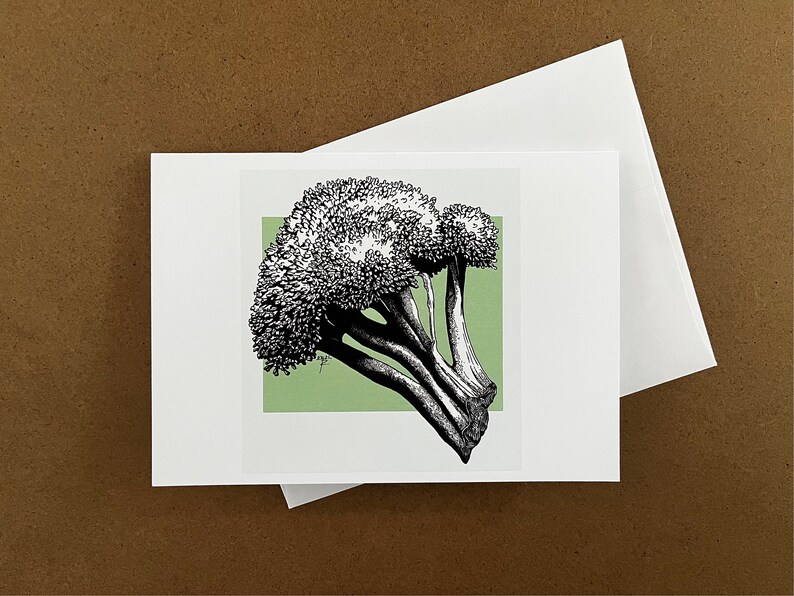 Hand Drawn Pen and Ink Vegetable Greeting Cards 3 Pack - Etsy