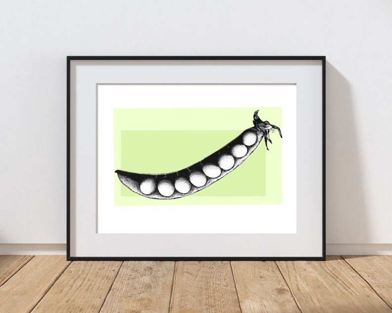 Pen and Ink Peapod Illustration - Etsy