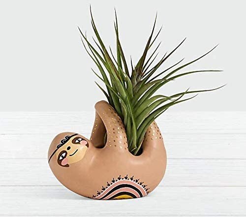 Sloth Planter, Sloth, Hanging Planter, Wall Planter Indoor, Large ...