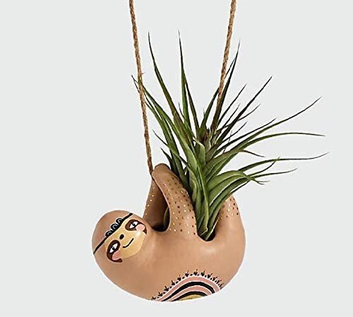 Sloth Planter, Sloth, Hanging Planter, Wall Planter Indoor, Large ...