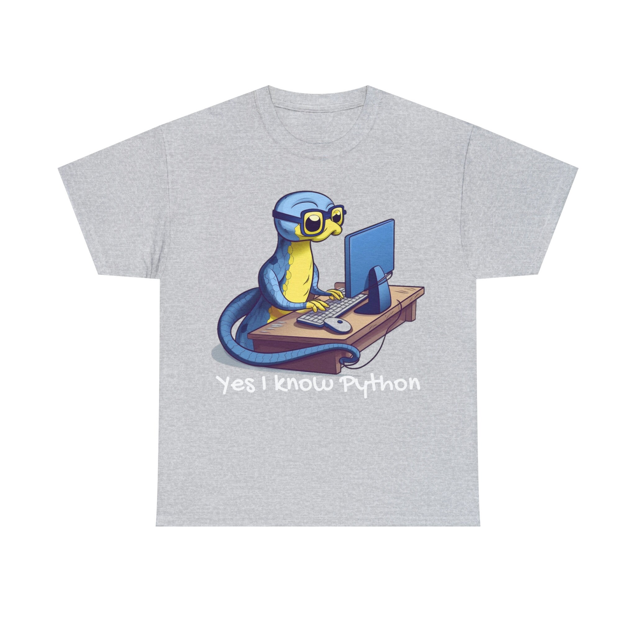 Python Programmer T Shirt Yes I Know Python Etsy