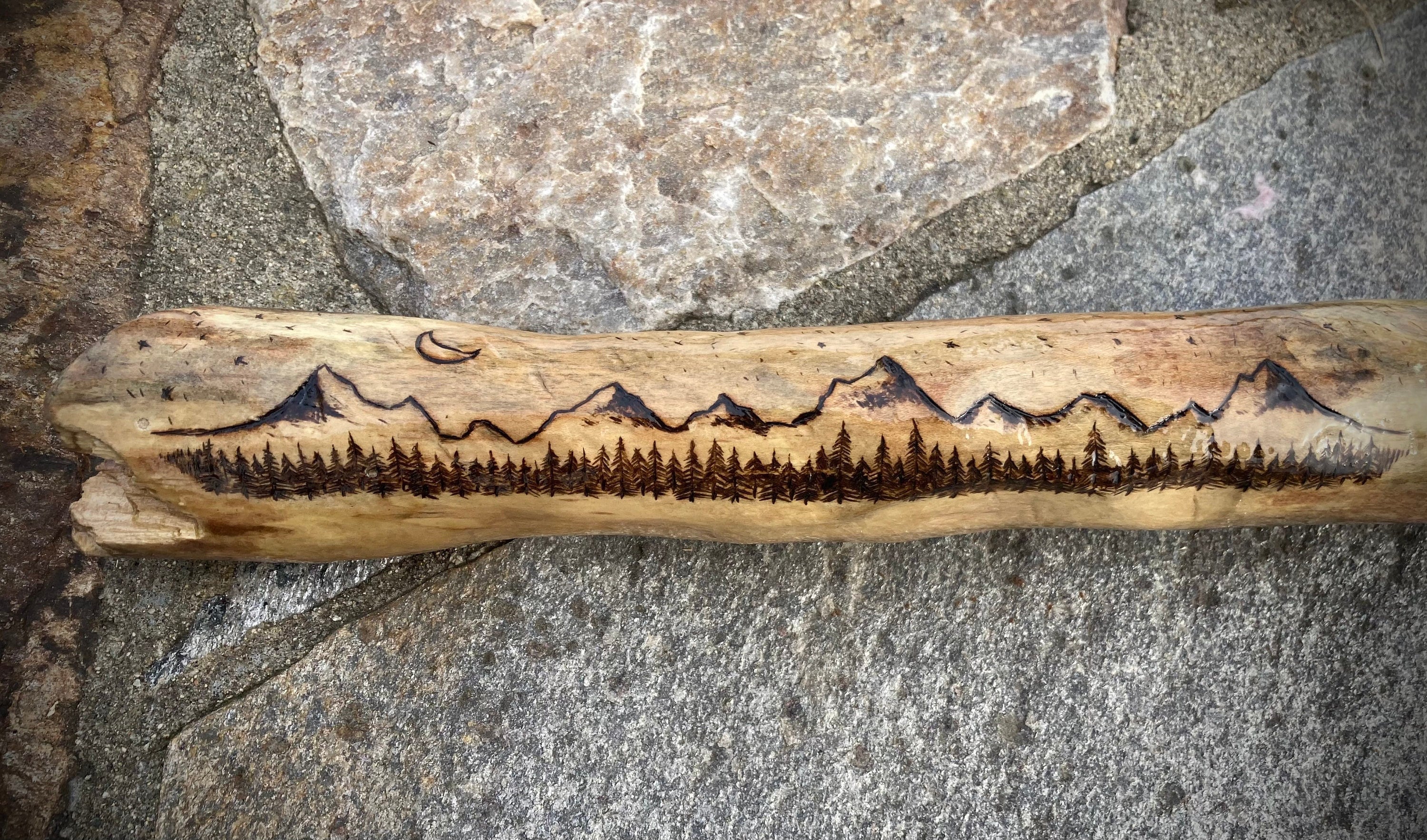 Wood Burned Walking Stick - Etsy