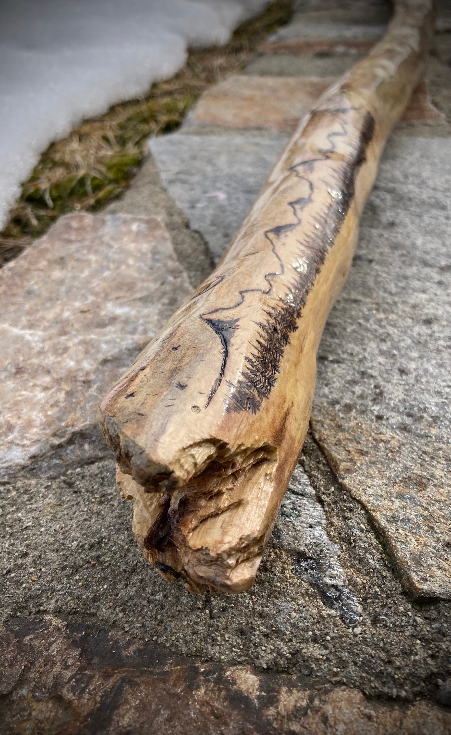 Wood Burned Walking Stick - Etsy